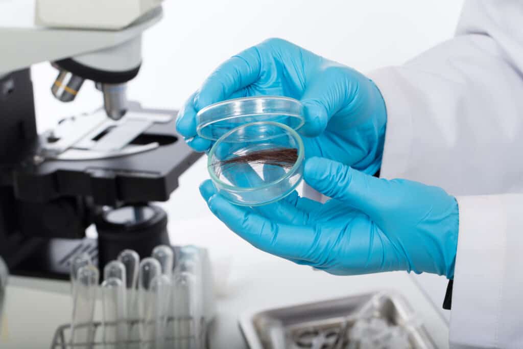 USA DNA Testing - Paternity Testing with Hair Samples - Learn More ...